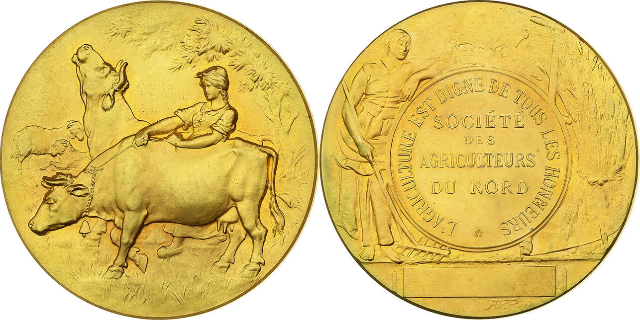 France Medaille Société des Agriculteurs du Nord, Gilt Bronze, Rivet AU ...